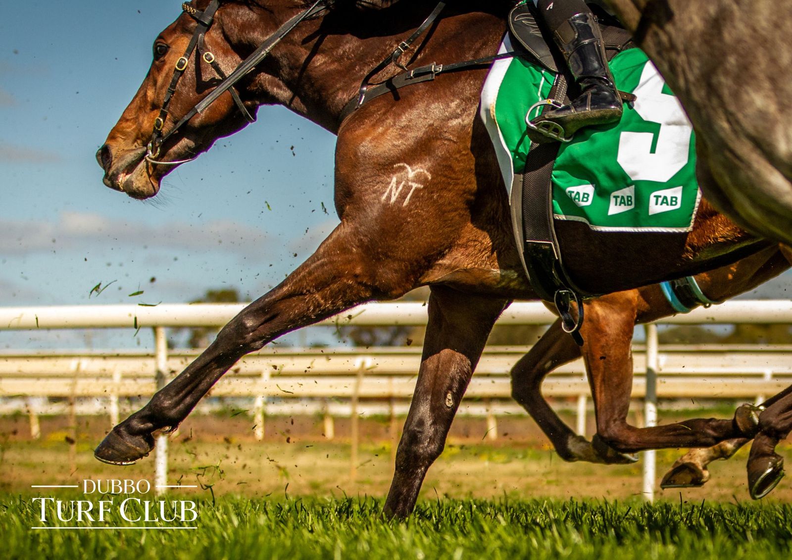 Upcoming Races | Dubbo Turf Club