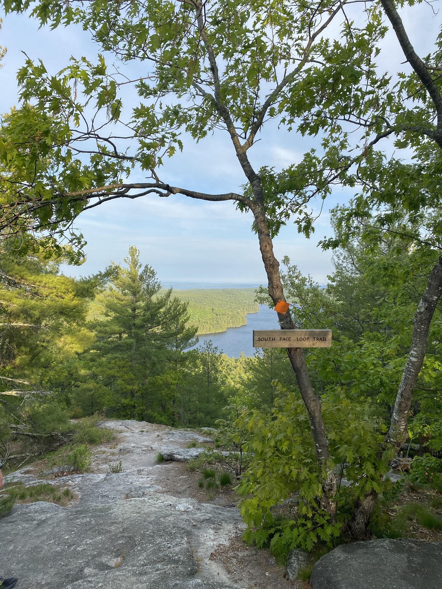 Loon Echo Land Trust: Explore Bald Pate Mountain