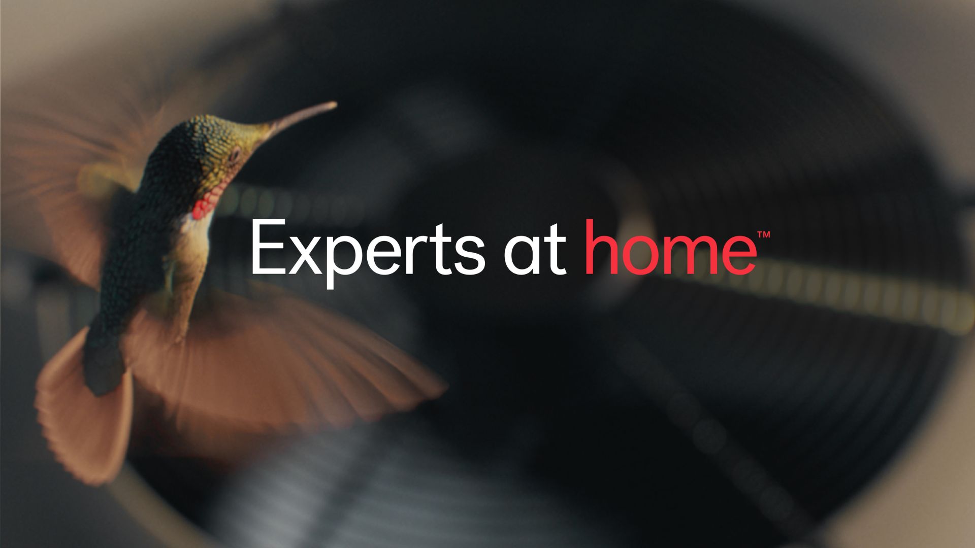 GALE Launches New Campaign and Branding for Enercare | GALE Partners