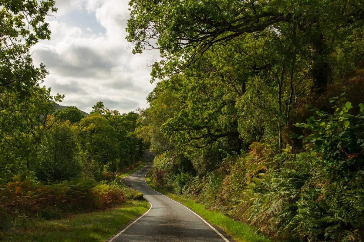 Road trip en Martinique : quel type de véhicule choisir