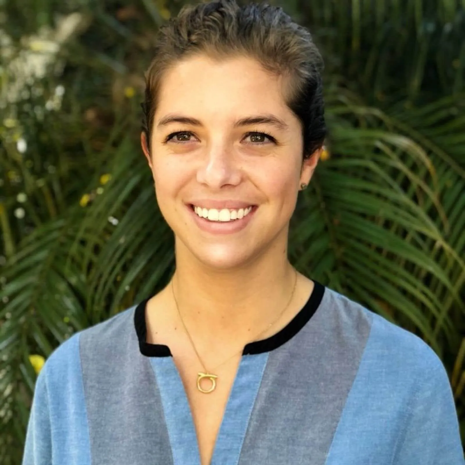 Precios | Tally - Constituye tu Empresa