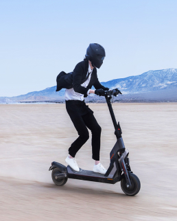 Ninebot by Segway KickScooter D18W