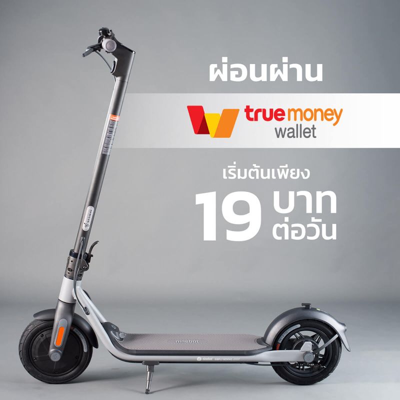 Ninebot by Segway KickScooter D18W