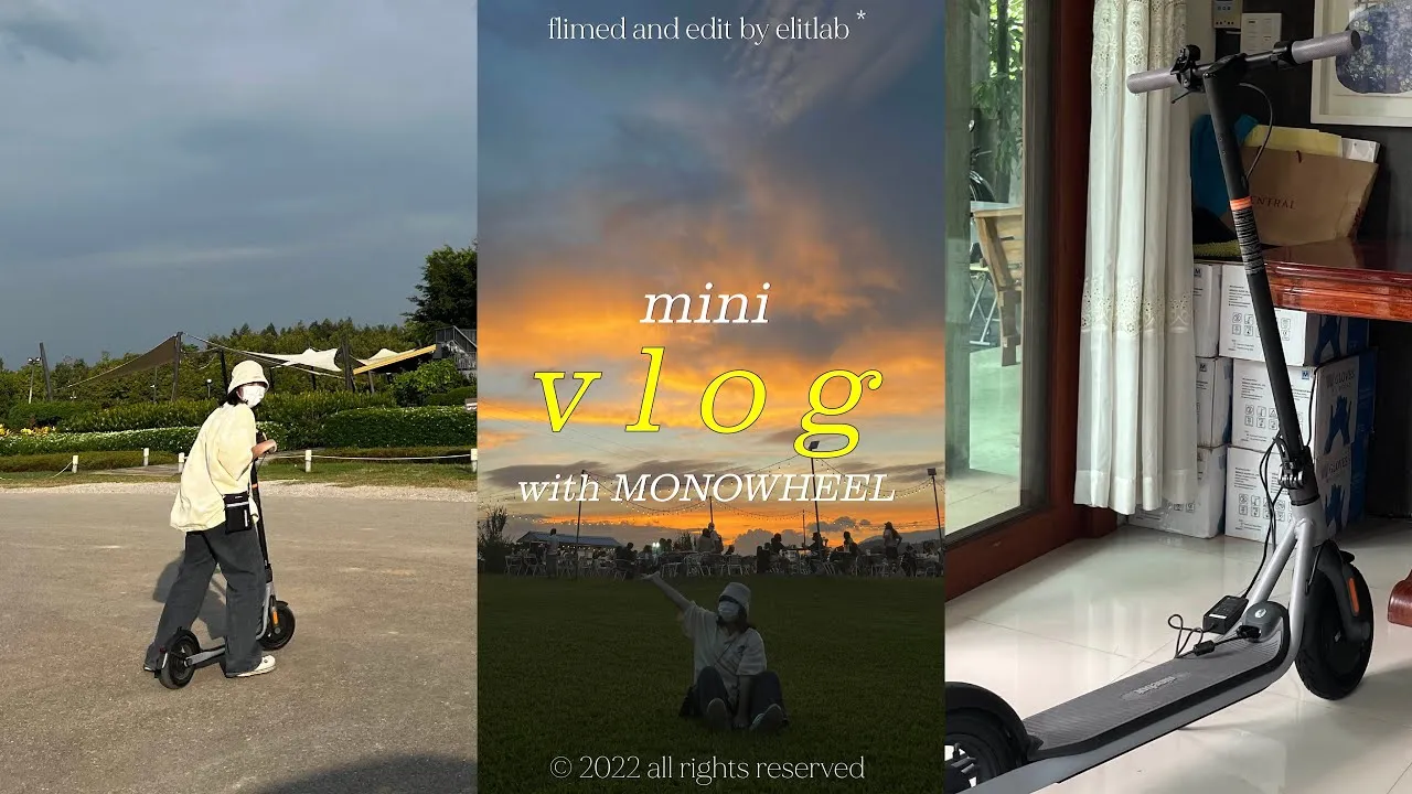 Ninebot by Segway KickScooter D18W