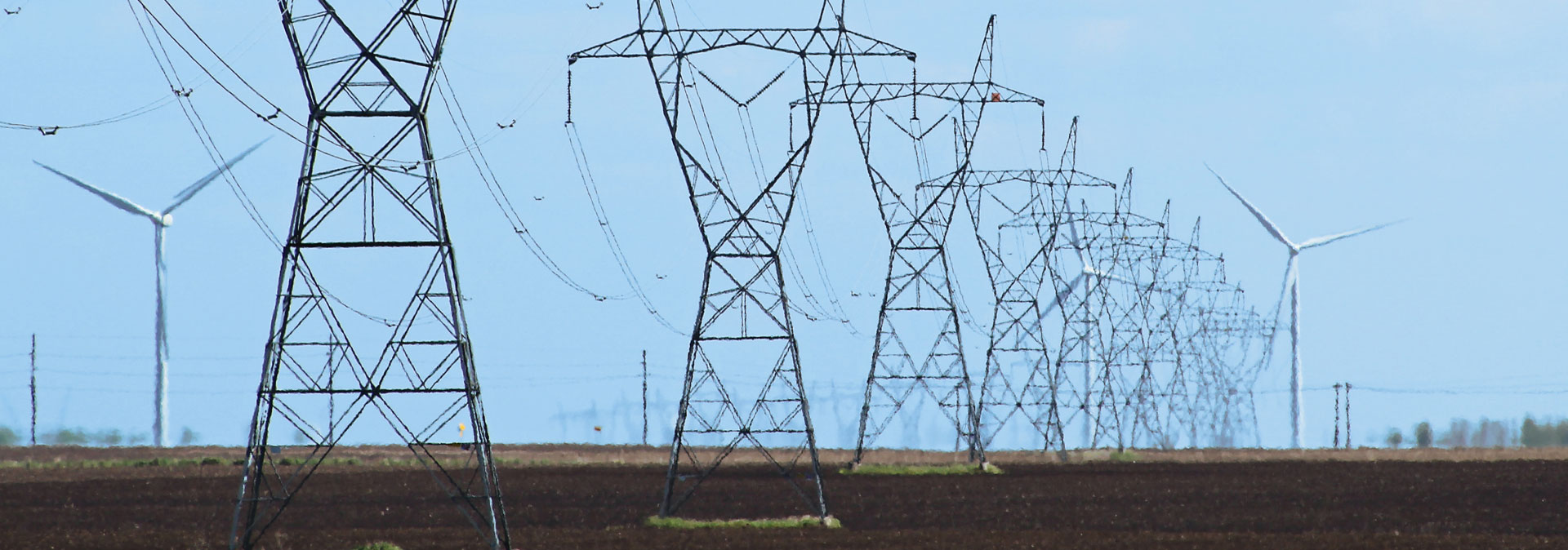 International Energy Provider