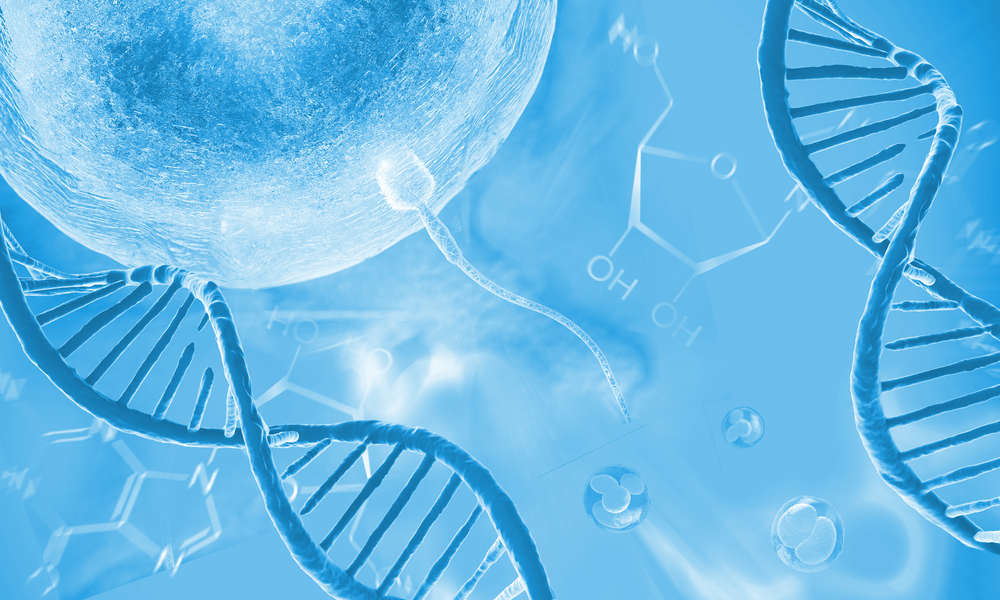 What Is DNA Fragmentation In Sperm?