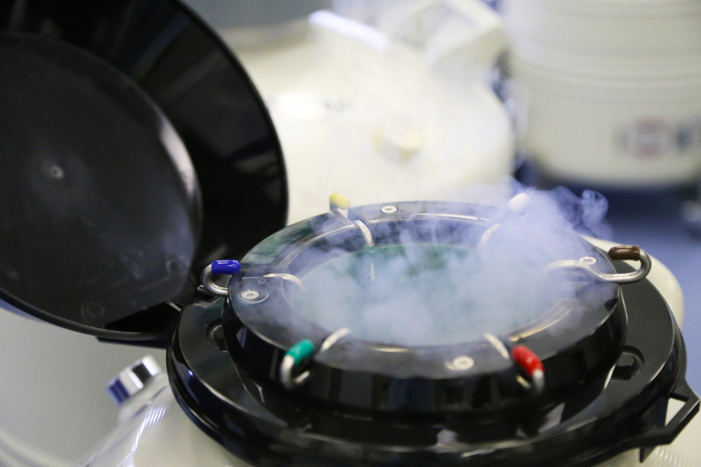 Step-By-Step: A Look At The Frozen Embryo Transfer Process