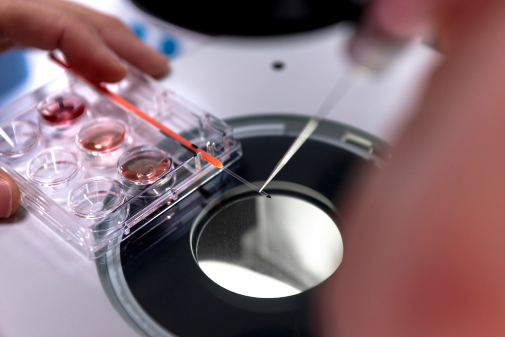 What is Vitrification of Eggs and how is it done?