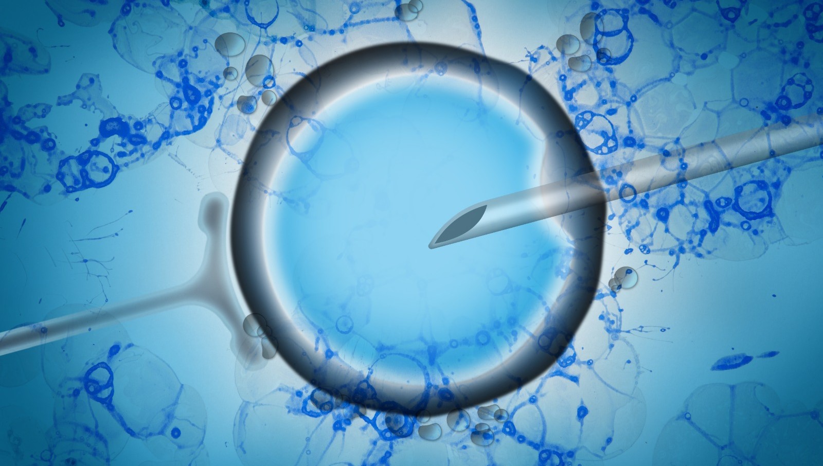 Exploring Laser Hatching: Enhancing Assisted Reproductive Technologies