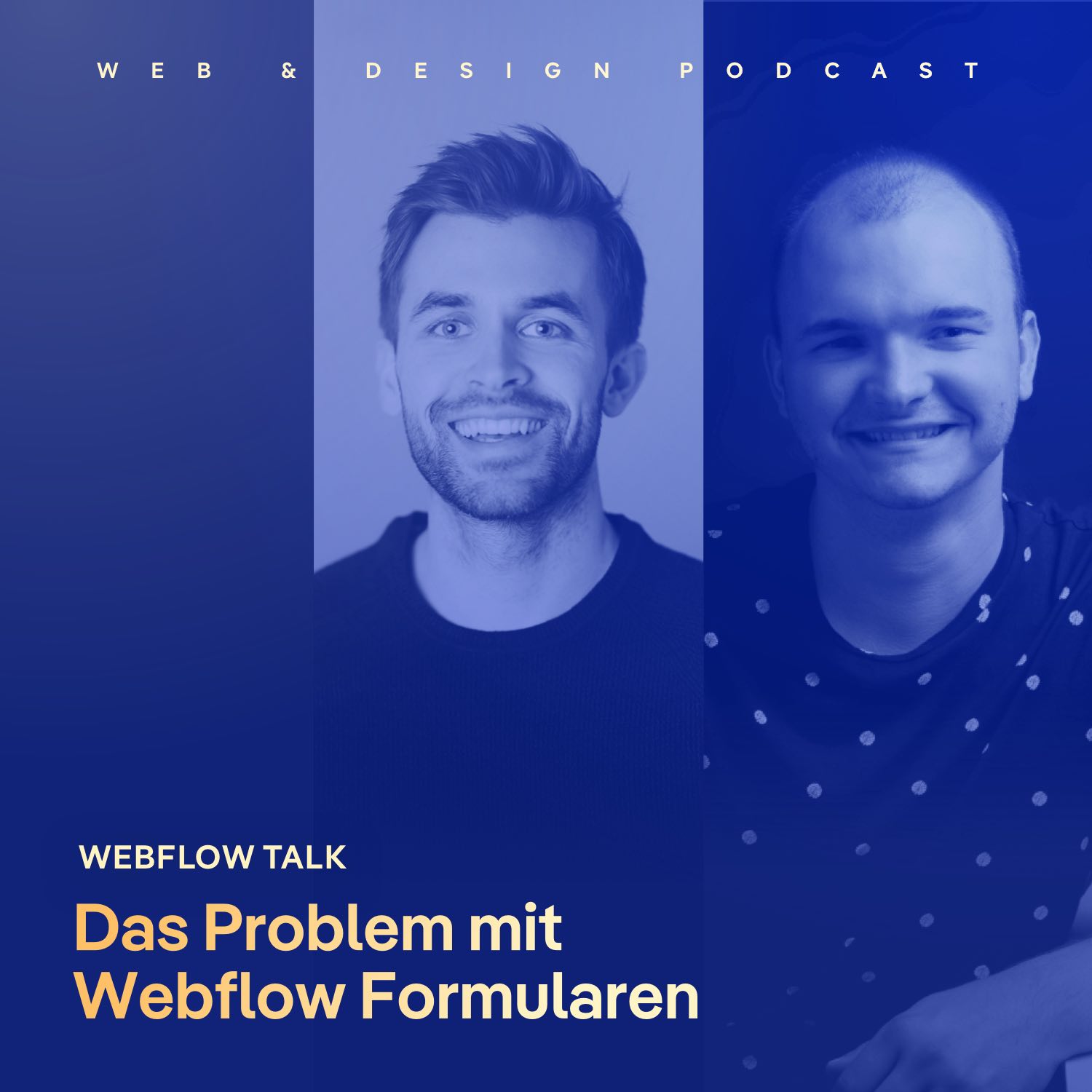 Webflow Talk: Das Problem mit Webflow Formularen – mit Dennis Karg