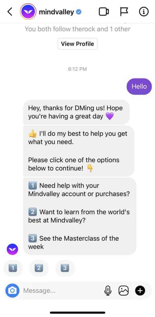 6 Data-Driven Benefits of Instagram Chatbots - VisioneerIT