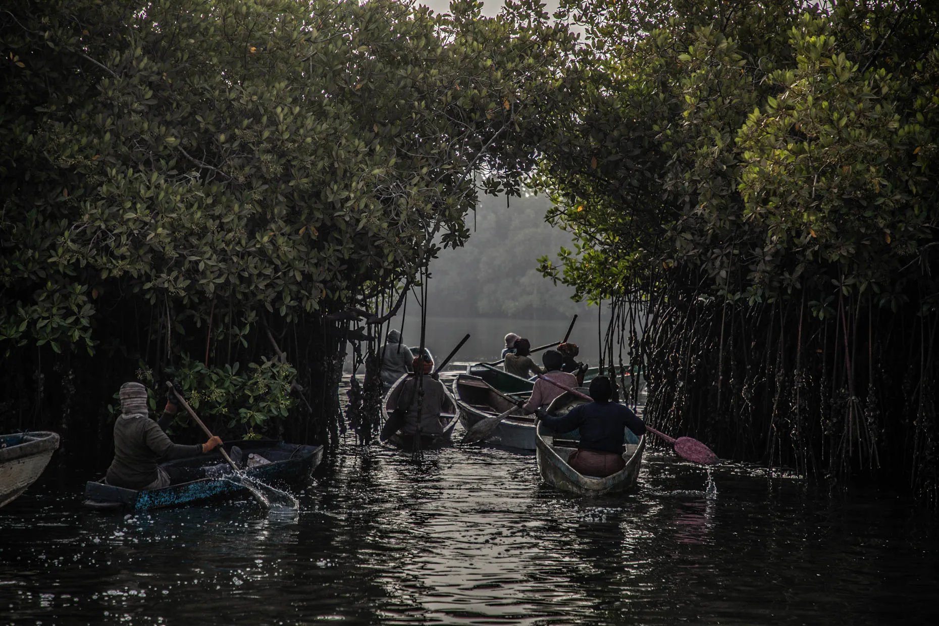 Winners 2023 | Mangrove Photography Awards