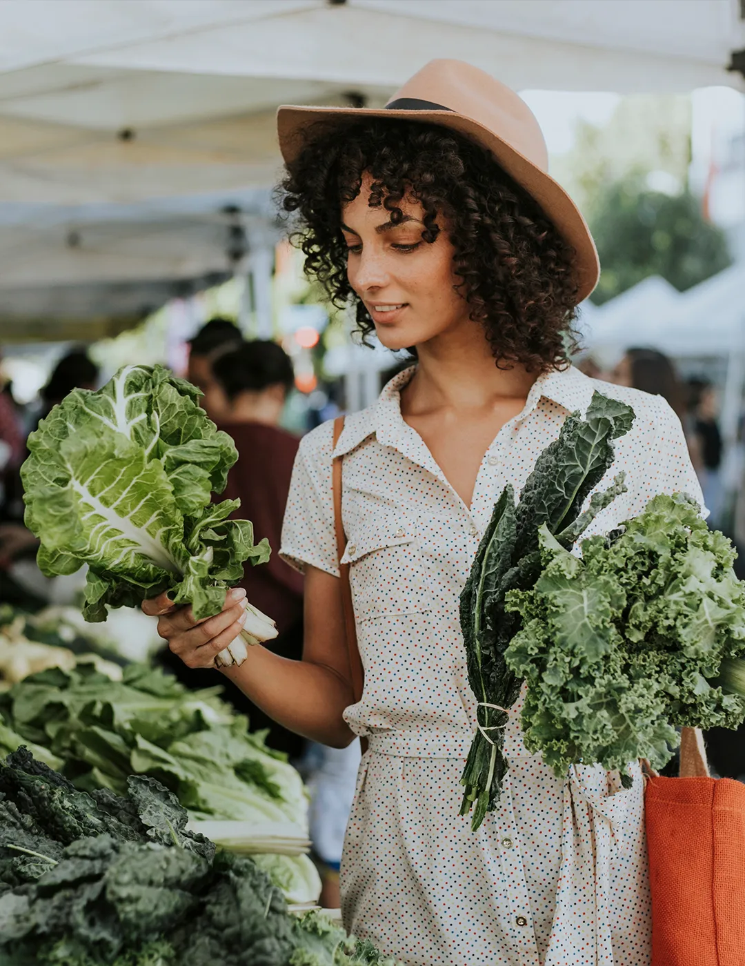 About Biospan | The World's First Biocheffing Service