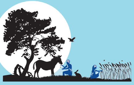 What is the Sikhi Perspective Regarding Animals and Environment? - Blog ...