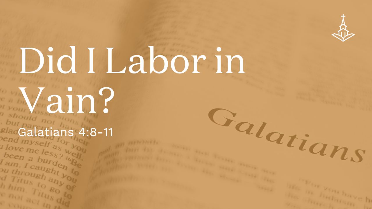 Did I Labor in Vain?