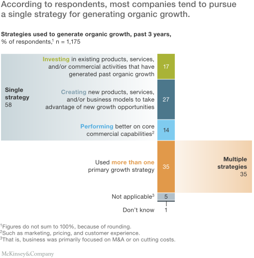 Growth Strategies 2019: Choosing the Right Path for Your Business ...