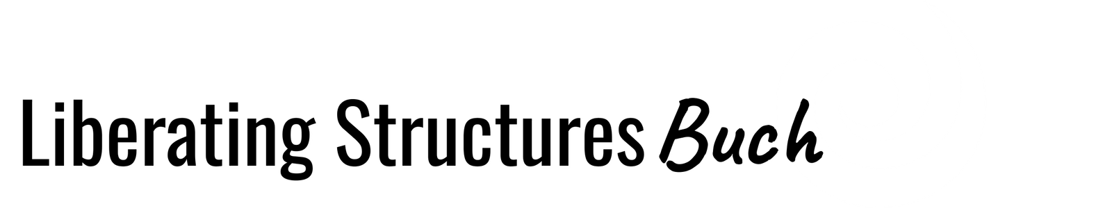 Mit Liberating Structures gemeinsam mehr erreichen: Die Übersetzung des ...