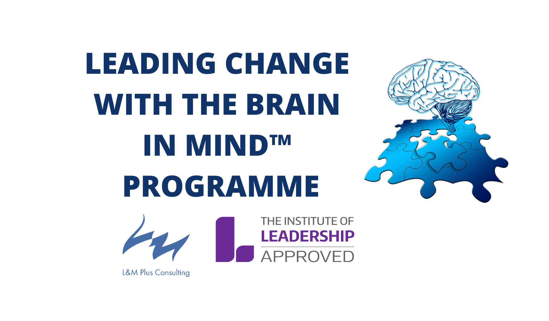 Leading Change with the Brain in Mind™ Programme