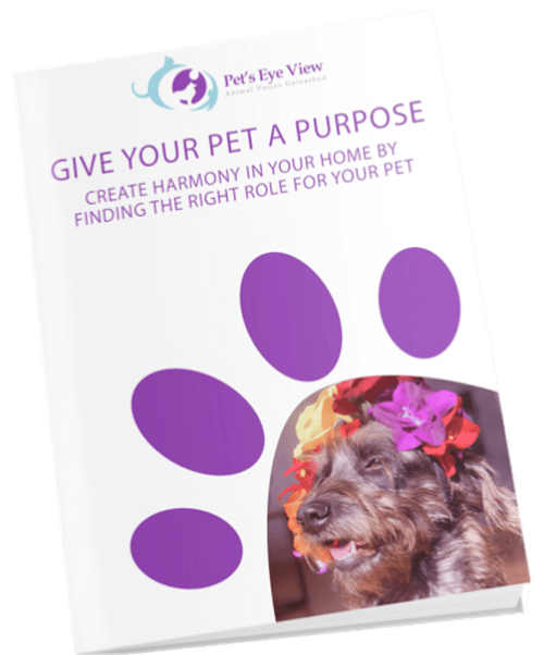 Animal Communication for Pets and People