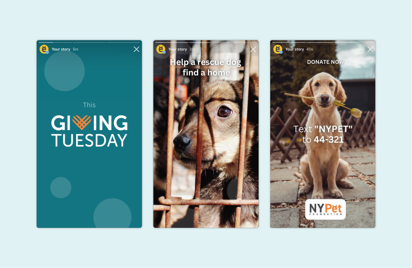 GivingTuesday with Give Lively