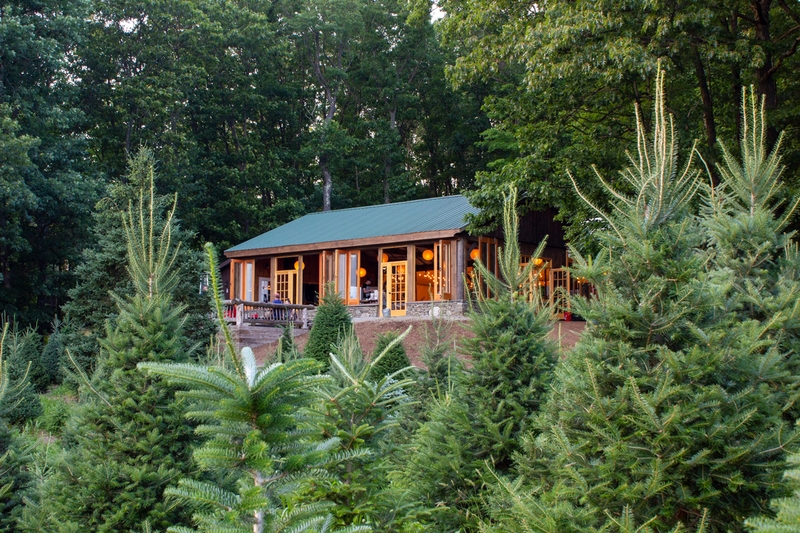 Emmerich Tree Farm - Christmas Tree Farm & Wedding Venue