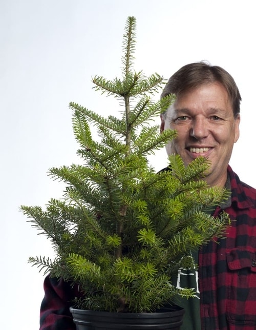 Emmerich Tree Farm - Christmas Tree Farm & Wedding Venue