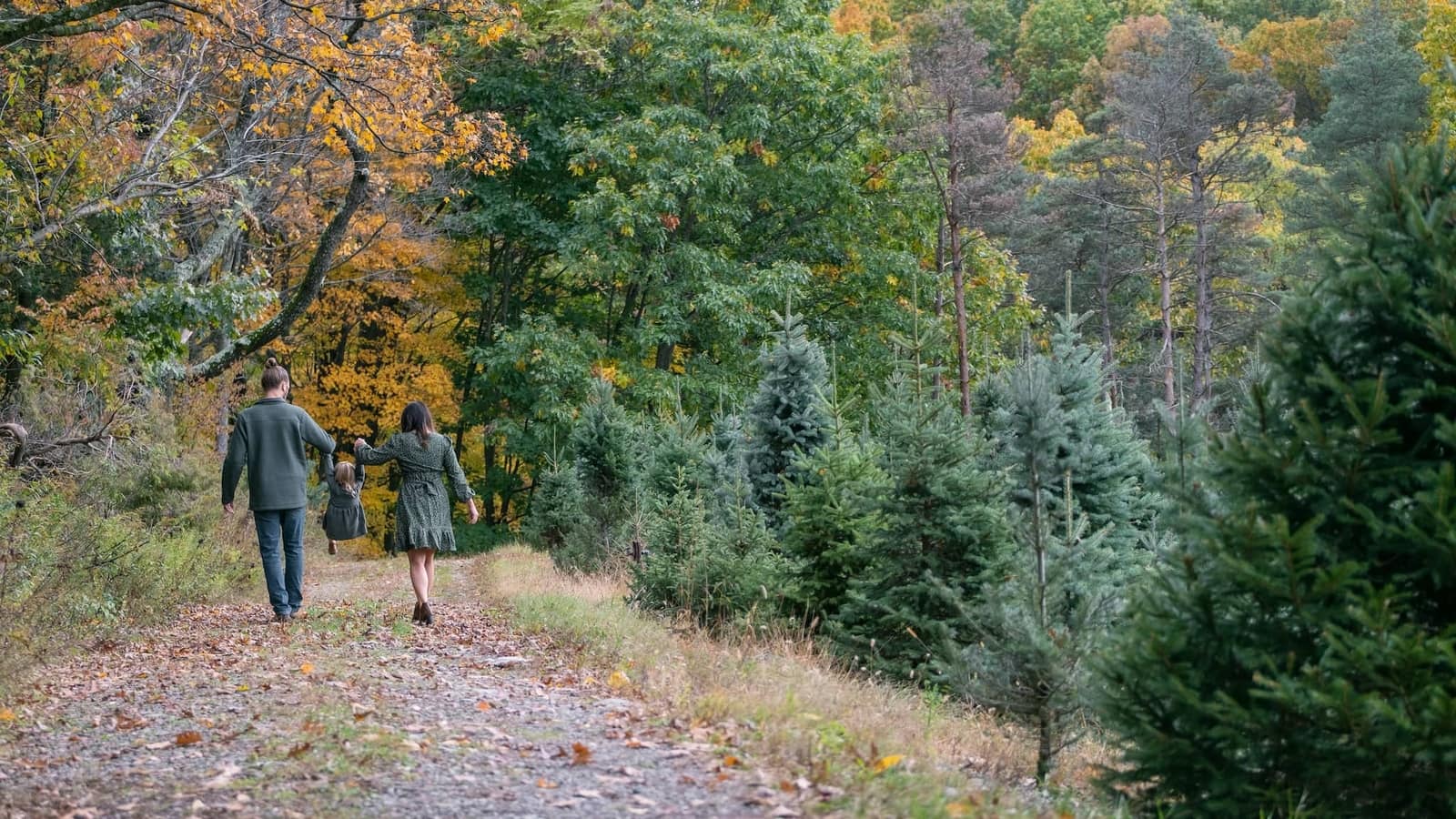 Emmerich Tree Farm - The Real Christmas Tree Experience