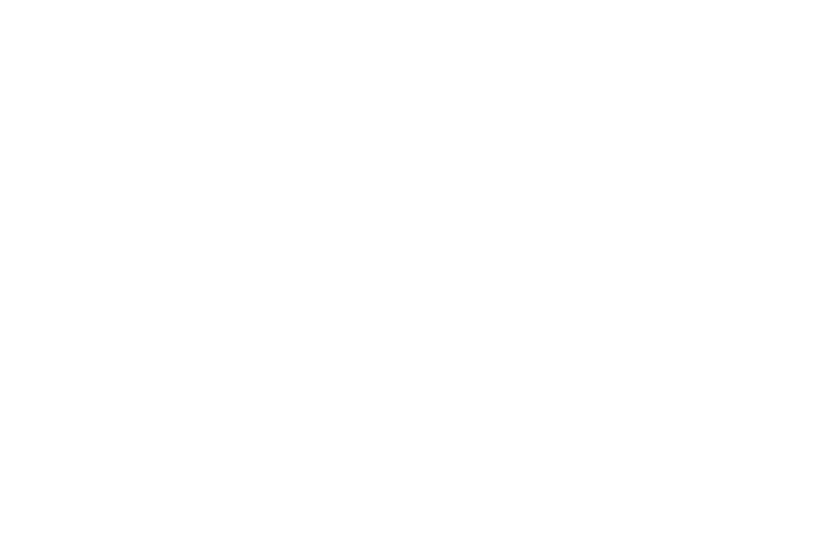 Vic.ai - Autonomous Accounting and Financial Insight