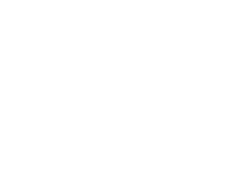 Vic.ai - Autonomous Accounting and Financial Insight
