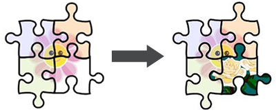 Coherence and Cohesion | Lisa's Study Guides