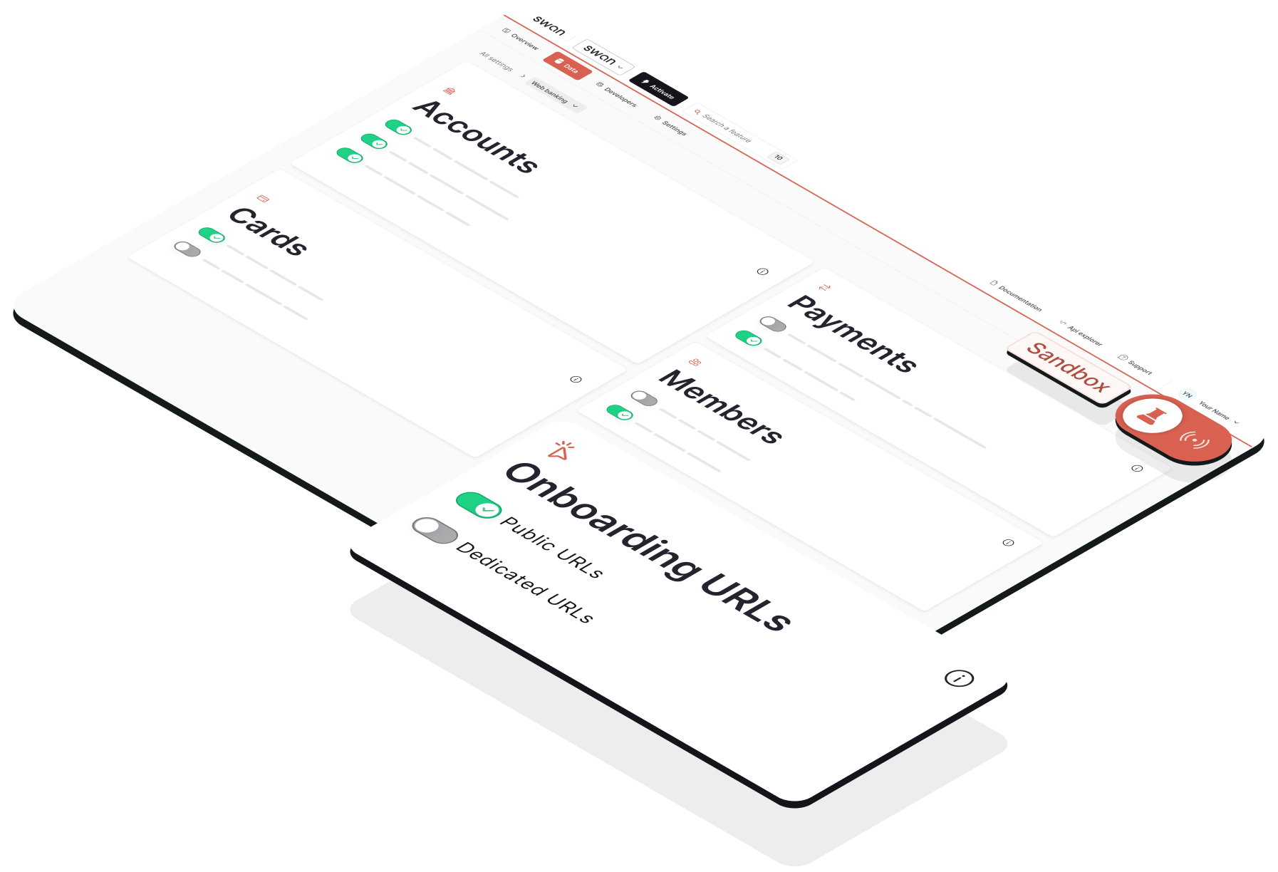 European accounts with local IBANs | Swan