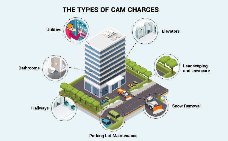 Blog | Understanding Pro Rata Share: A Comprehensive Guide