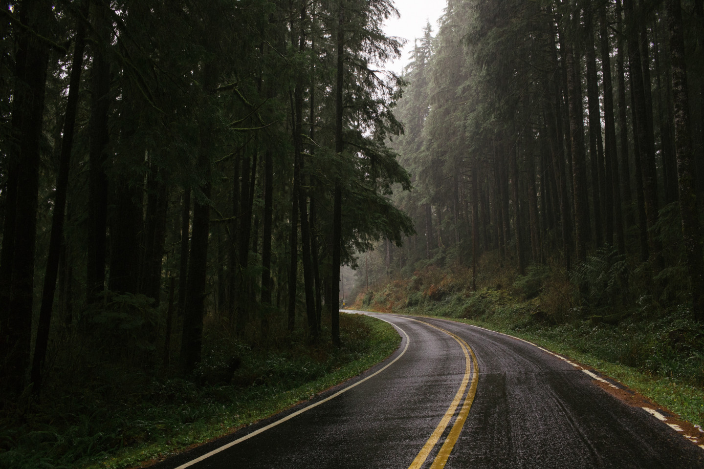 Seattle Motorcycle Rides | Explore The Best Routes & Roads - REVER