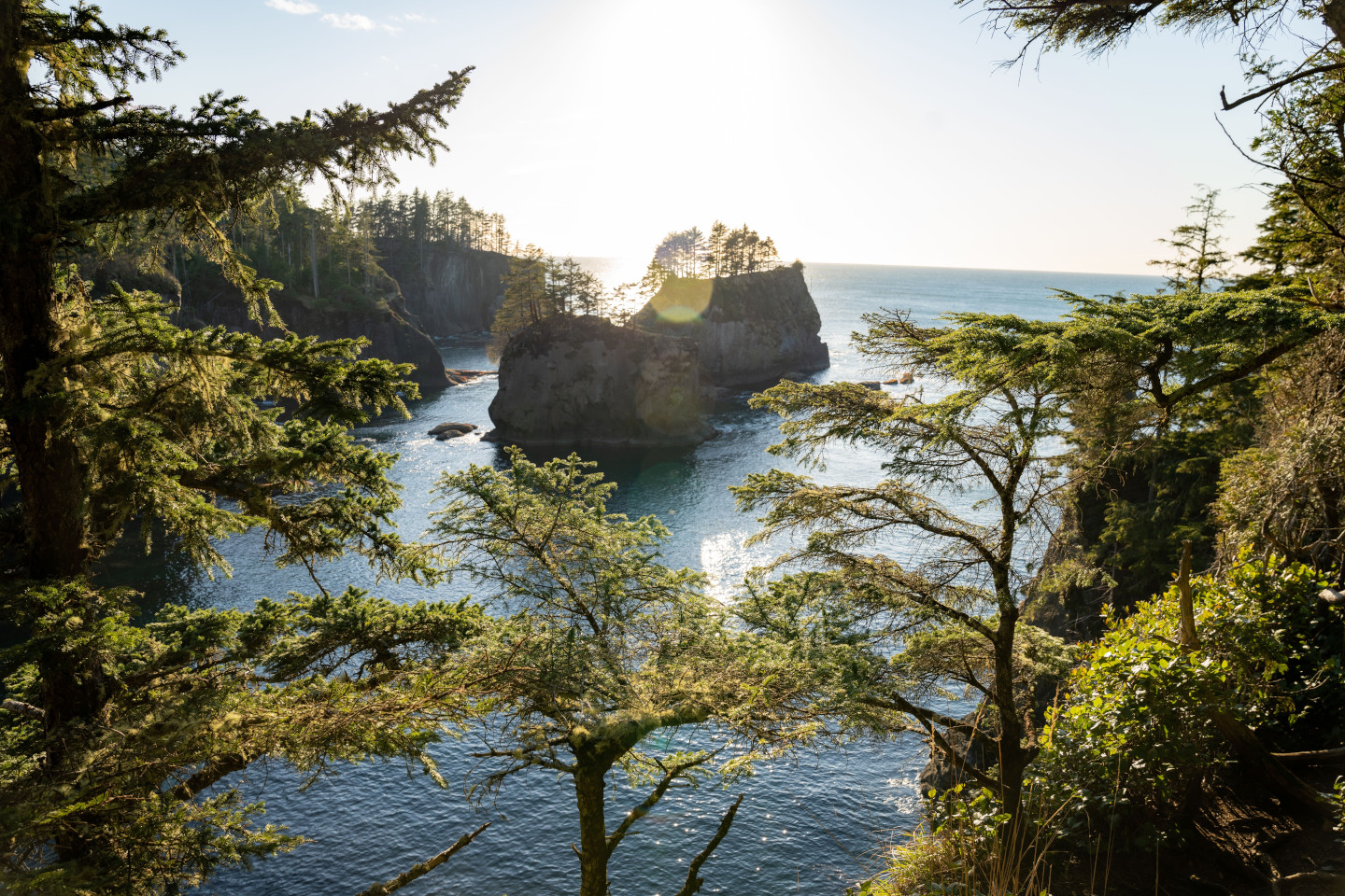 Seattle Motorcycle Rides | Explore The Best Routes & Roads - REVER