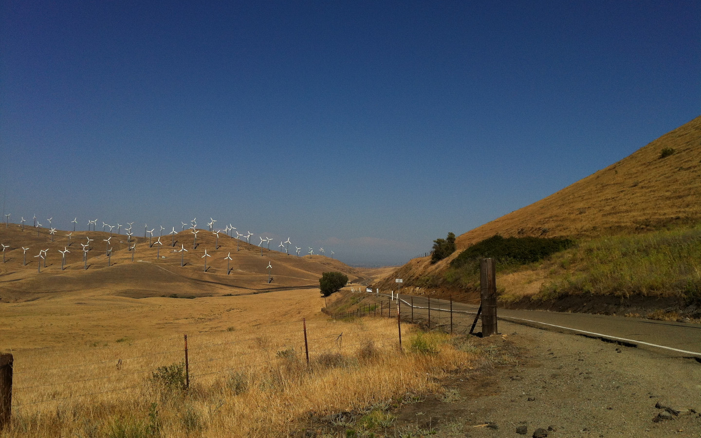 Bay Area Motorcycle Ride | Explore The Best Routes & Roads - REVER