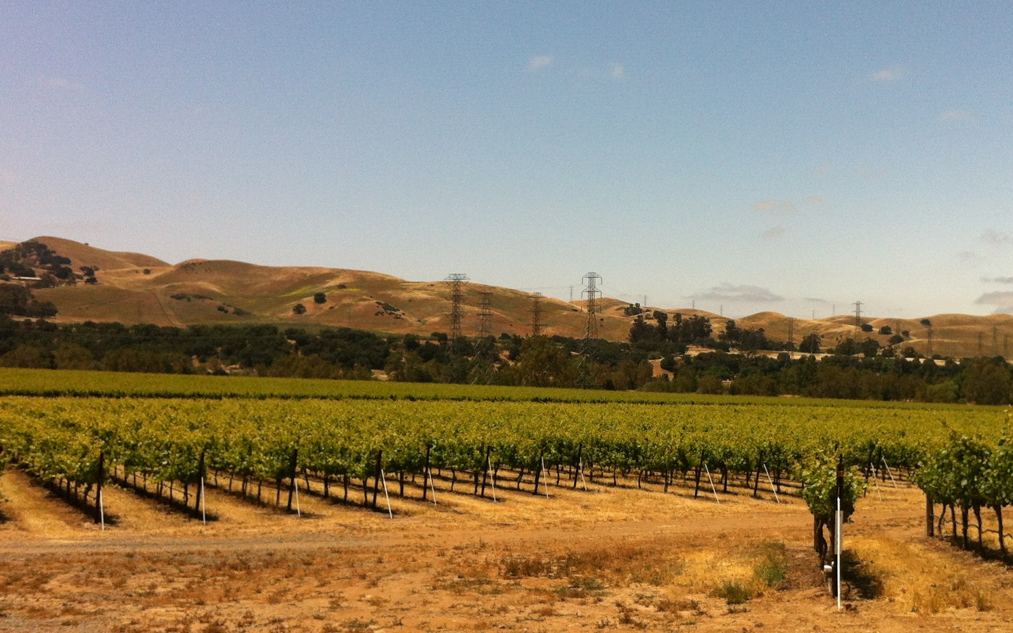 Bay Area Motorcycle Ride | Explore The Best Routes & Roads - REVER