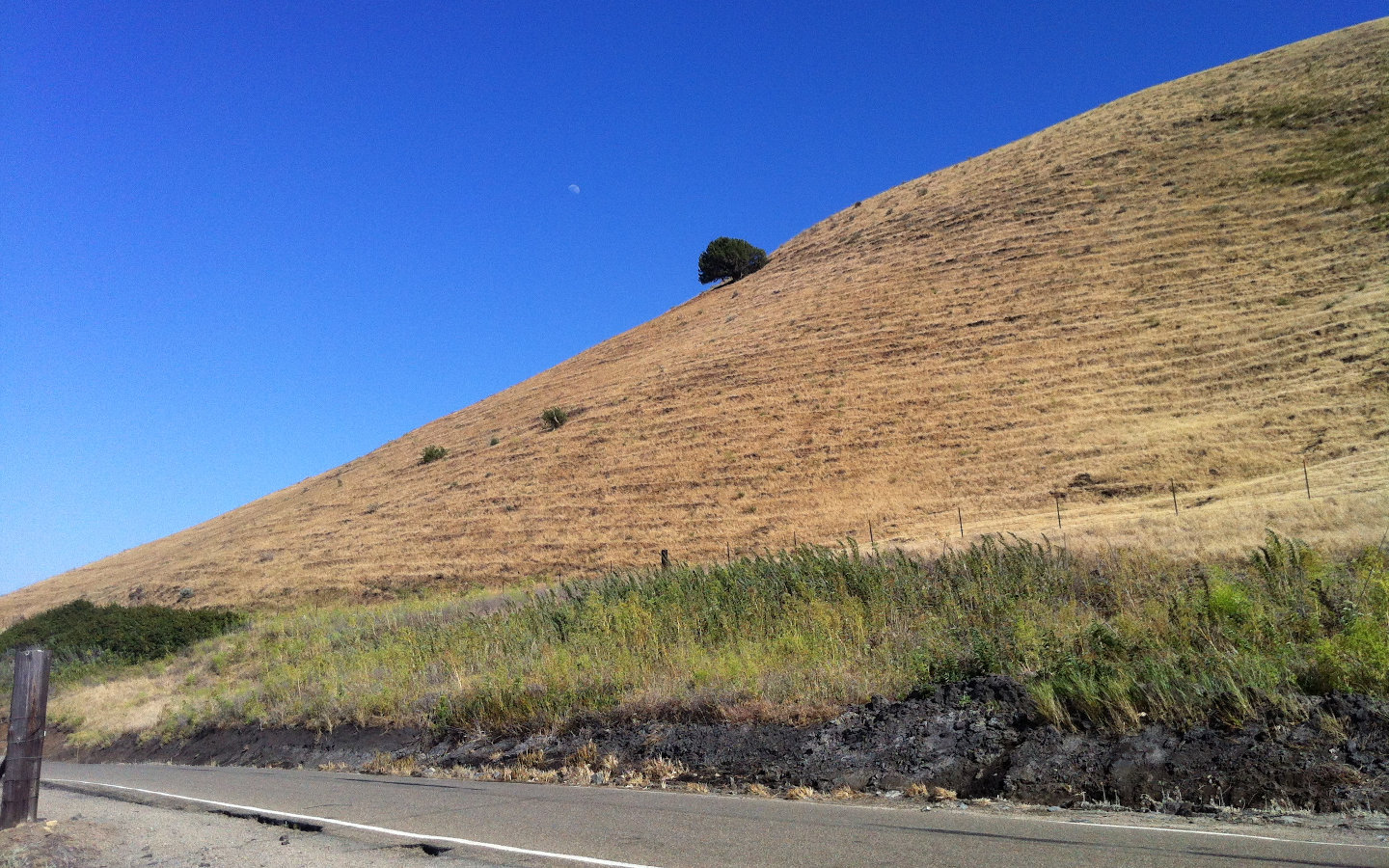 Bay Area Motorcycle Ride | Explore The Best Routes & Roads - REVER