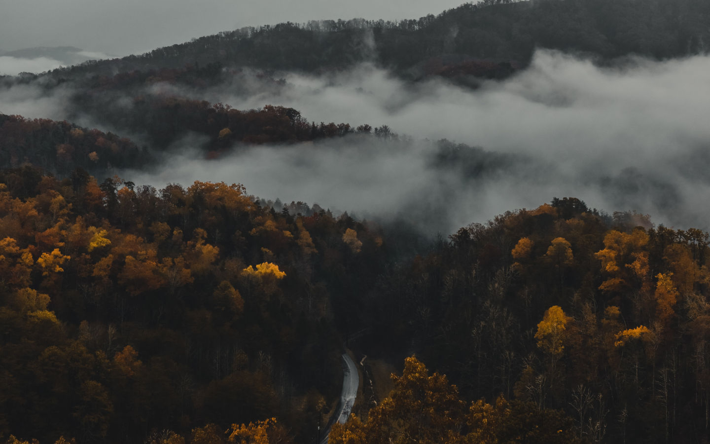 Pigeon Forge Motorcycle Rides | Explore Top Routes & Roads - REVER