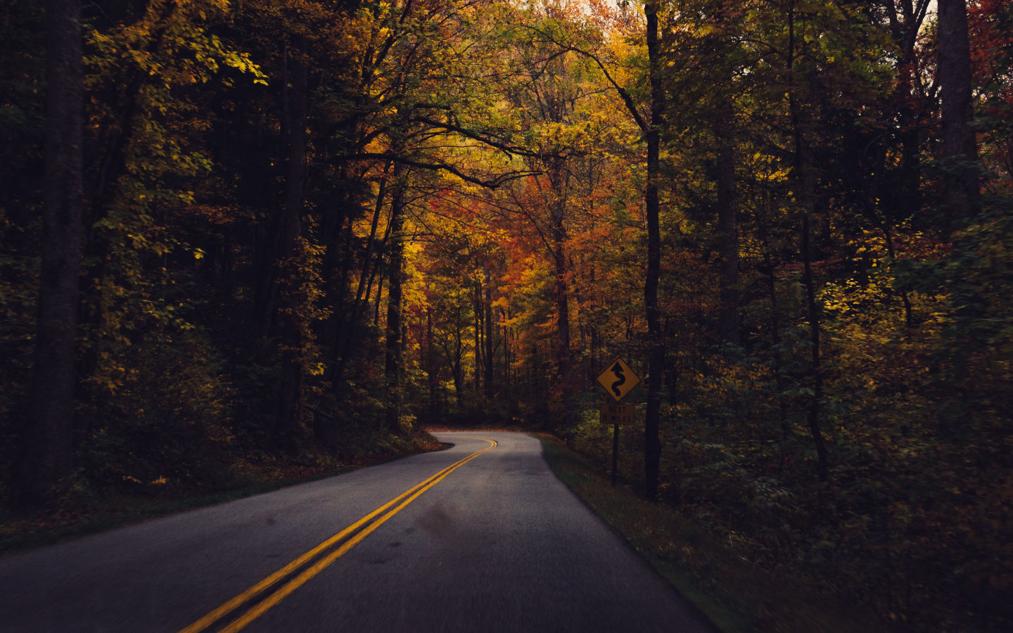 Pigeon Forge Motorcycle Rides | Explore Top Routes & Roads - REVER