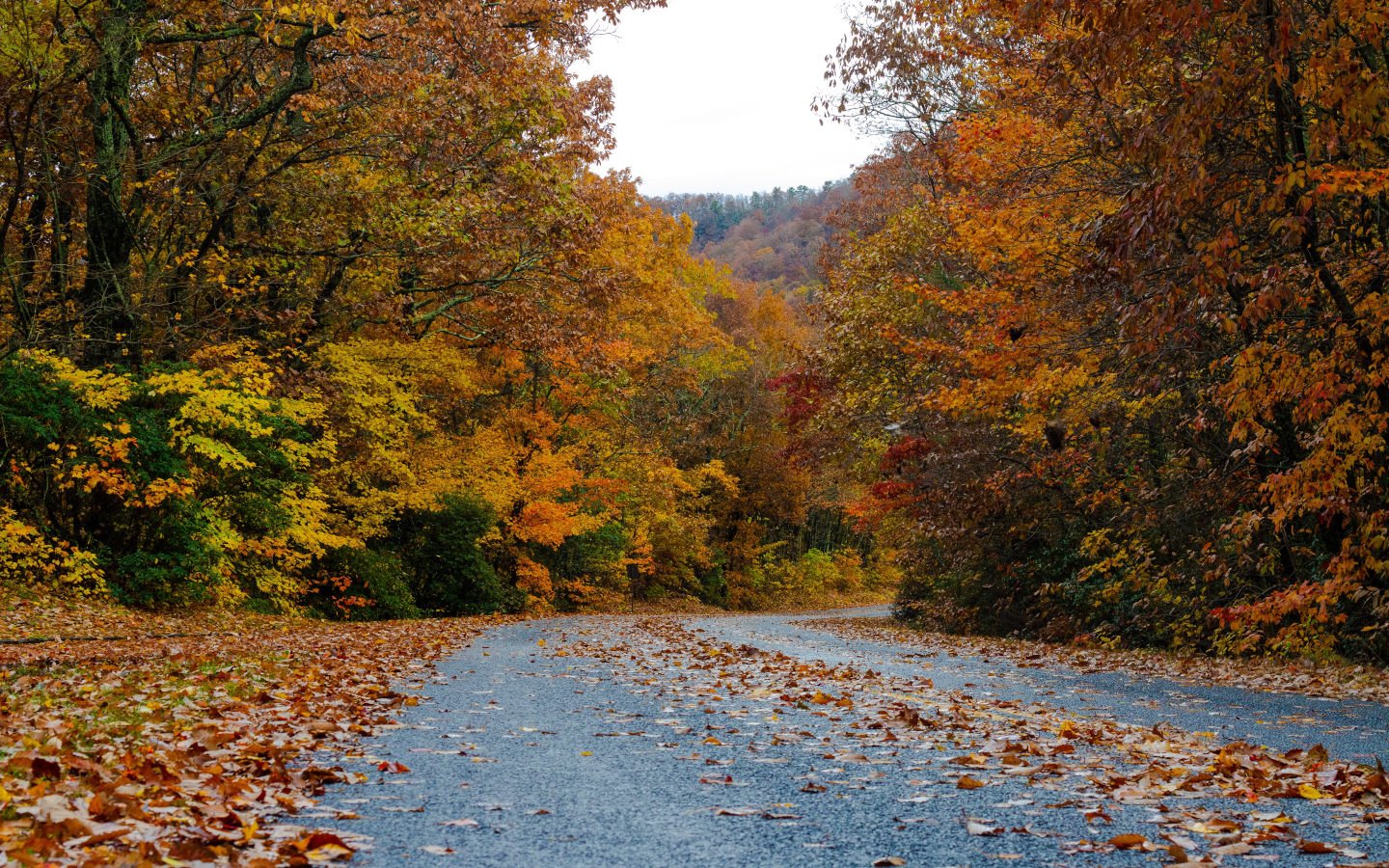 Pigeon Forge Motorcycle Rides | Explore Top Routes & Roads - REVER