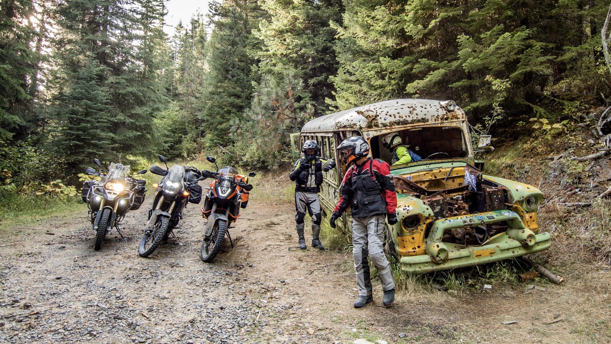 How To Use REVER For A BDR