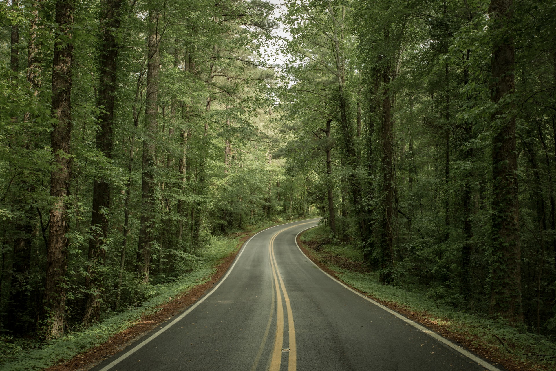 Tennessee Motorcycle Roads | Discover the Best Routes - REVER