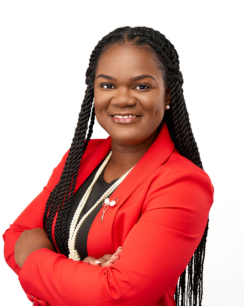 Meet the Team | About | IMBL