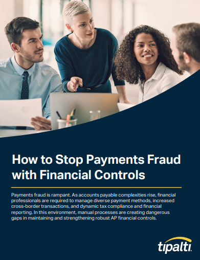 How to Stop payment Fraud with Financial Controls | TechContentHub