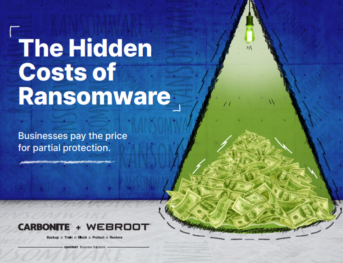 The Hidden Costs Of Ransomware | TechContentHub