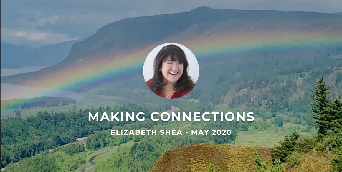 Elizabeth Shea: Making Connections | Profiles in Success