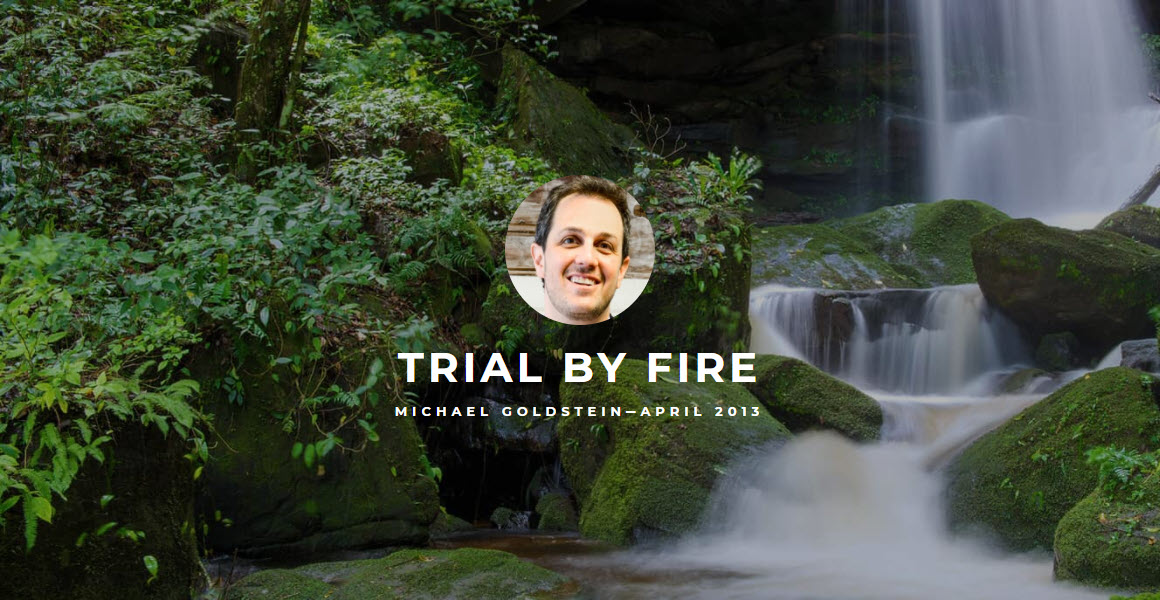 Michael Goldstein: Trial By Fire | Profiles in Success