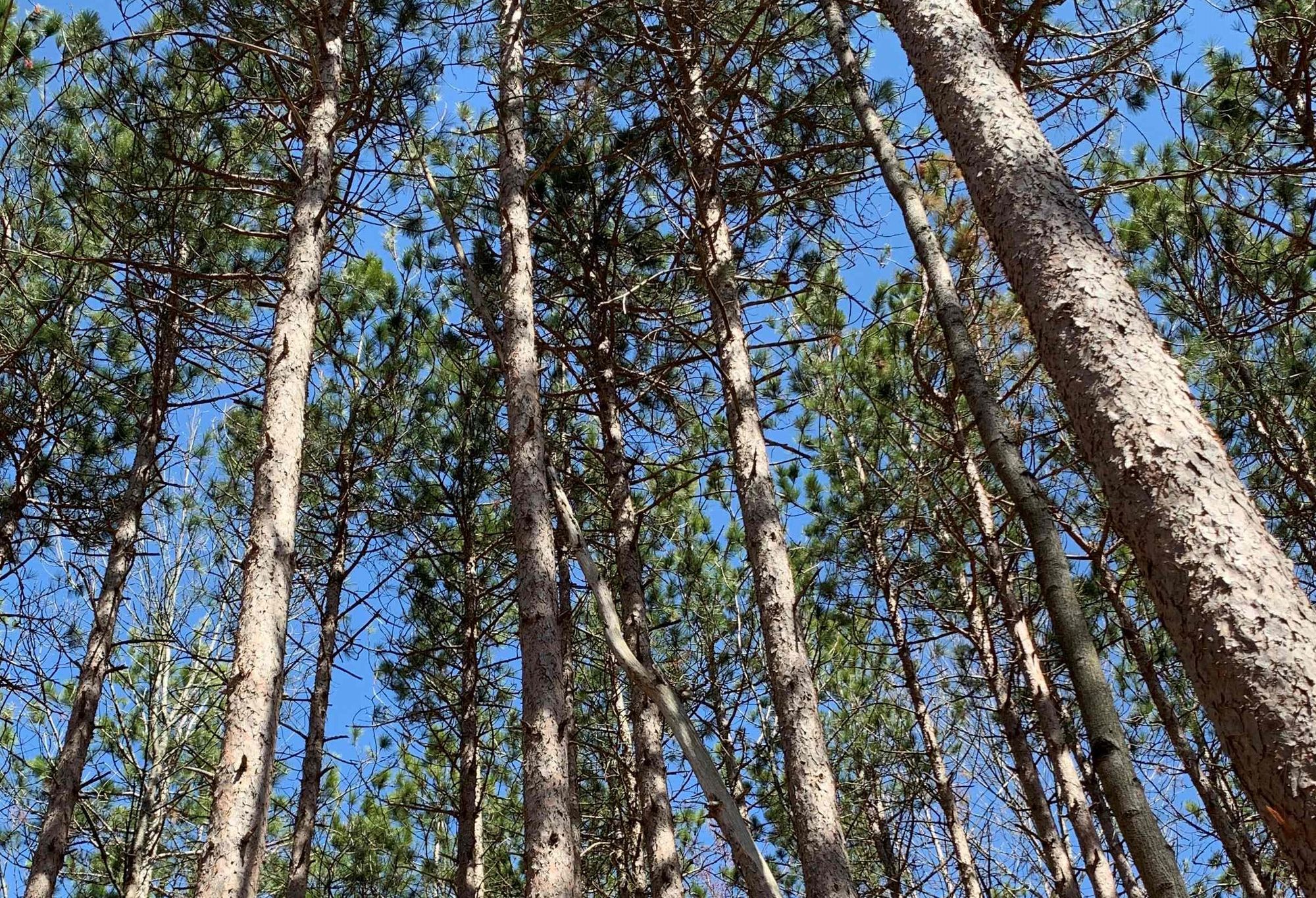 Mohawk Hudson Land Conservancy