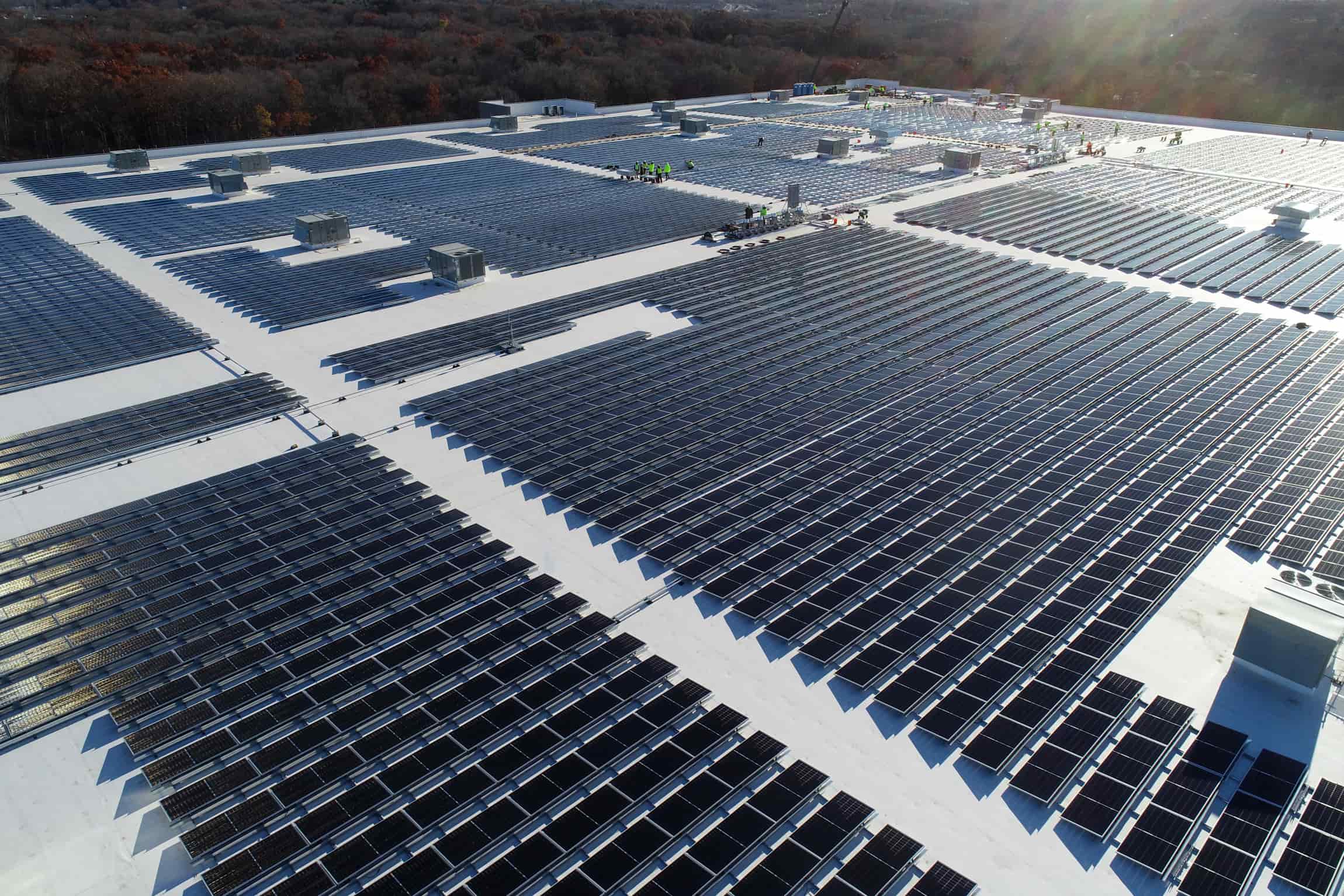 Telyon | A Clean Energy Company | Sustainability in Business