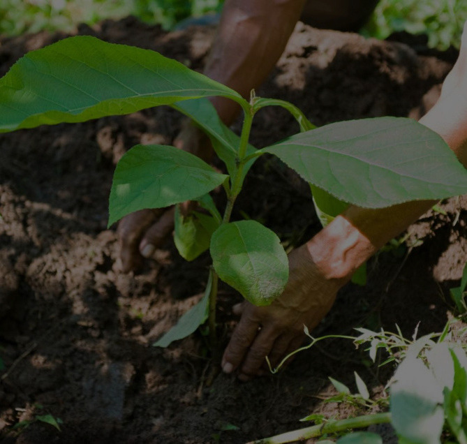 EcoMatcher builds with Mapbox Mobile Maps SDK and GL JS